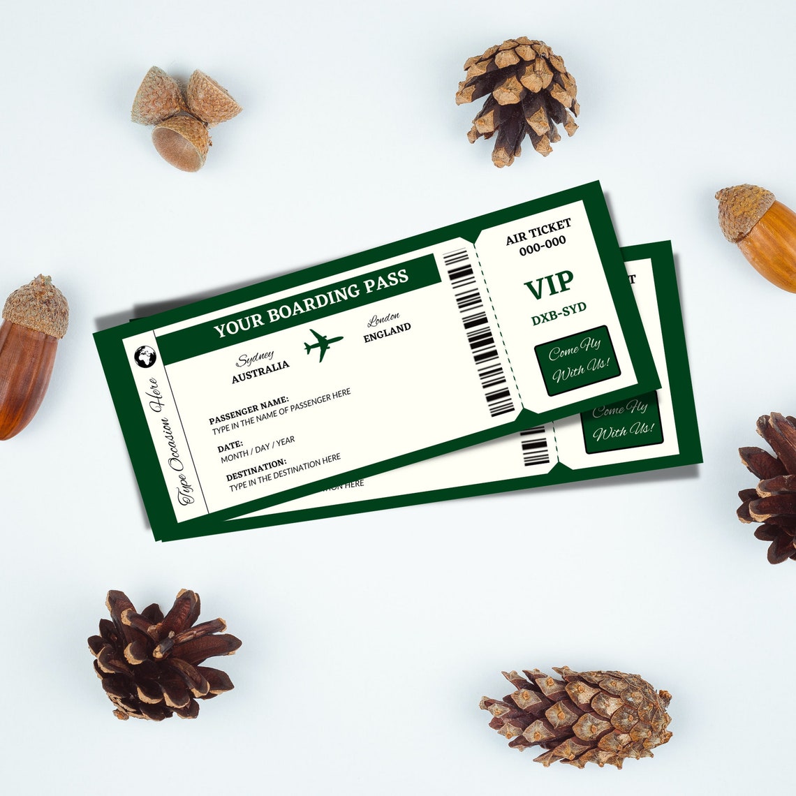 Editable Boarding Pass Template Surprise Boarding Pass Etsy Canada