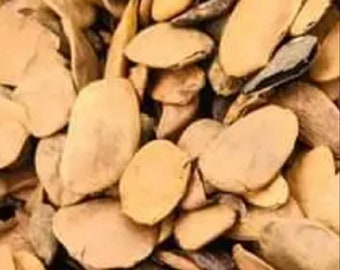 Abere Seeds hunteria Umbellata 35 Seeds Ships Quick - Etsy