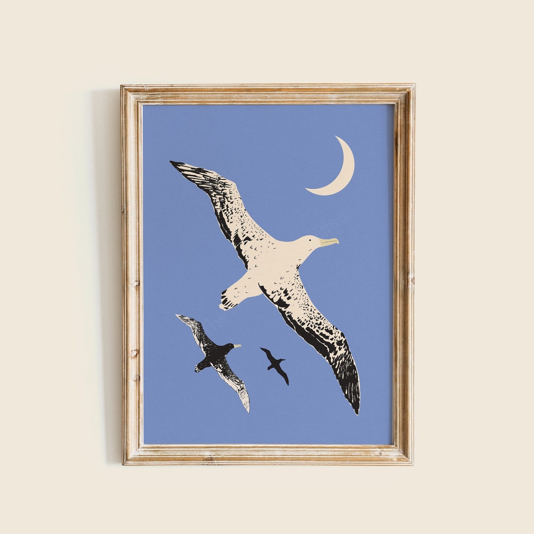 The Albatross Art Print, Illustrated Bird Poster, Home Decor, Wall Art ...