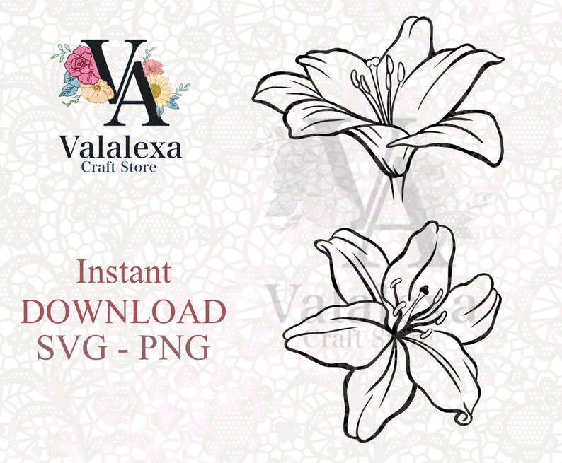 Lily Svg Bundle, Lily Svg, Lily Png Bundle,lily File, Lily Png, Lily ...