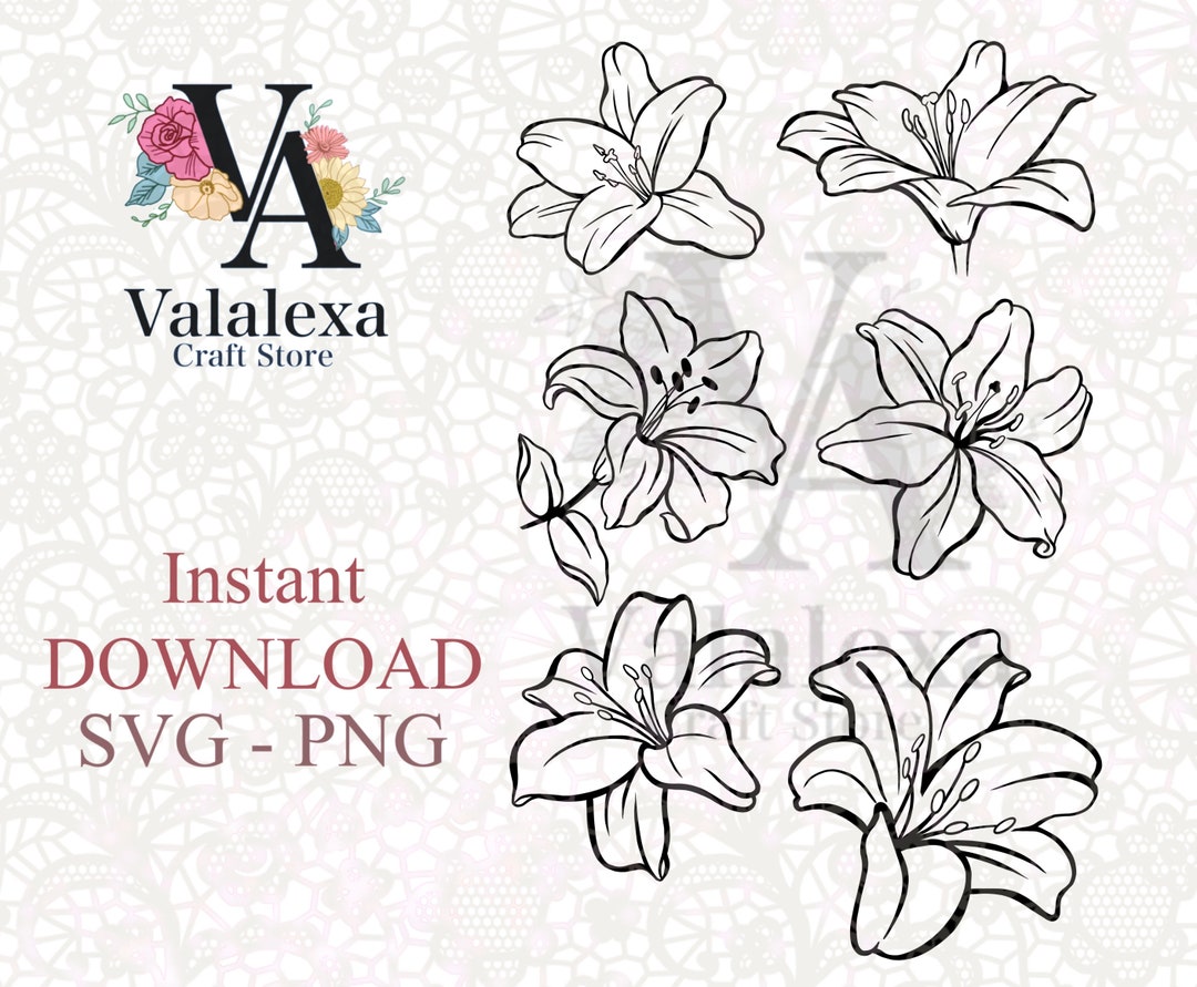 Lily SVG Bundle: Floral Cut Files (PNG, SVG) - Etsy