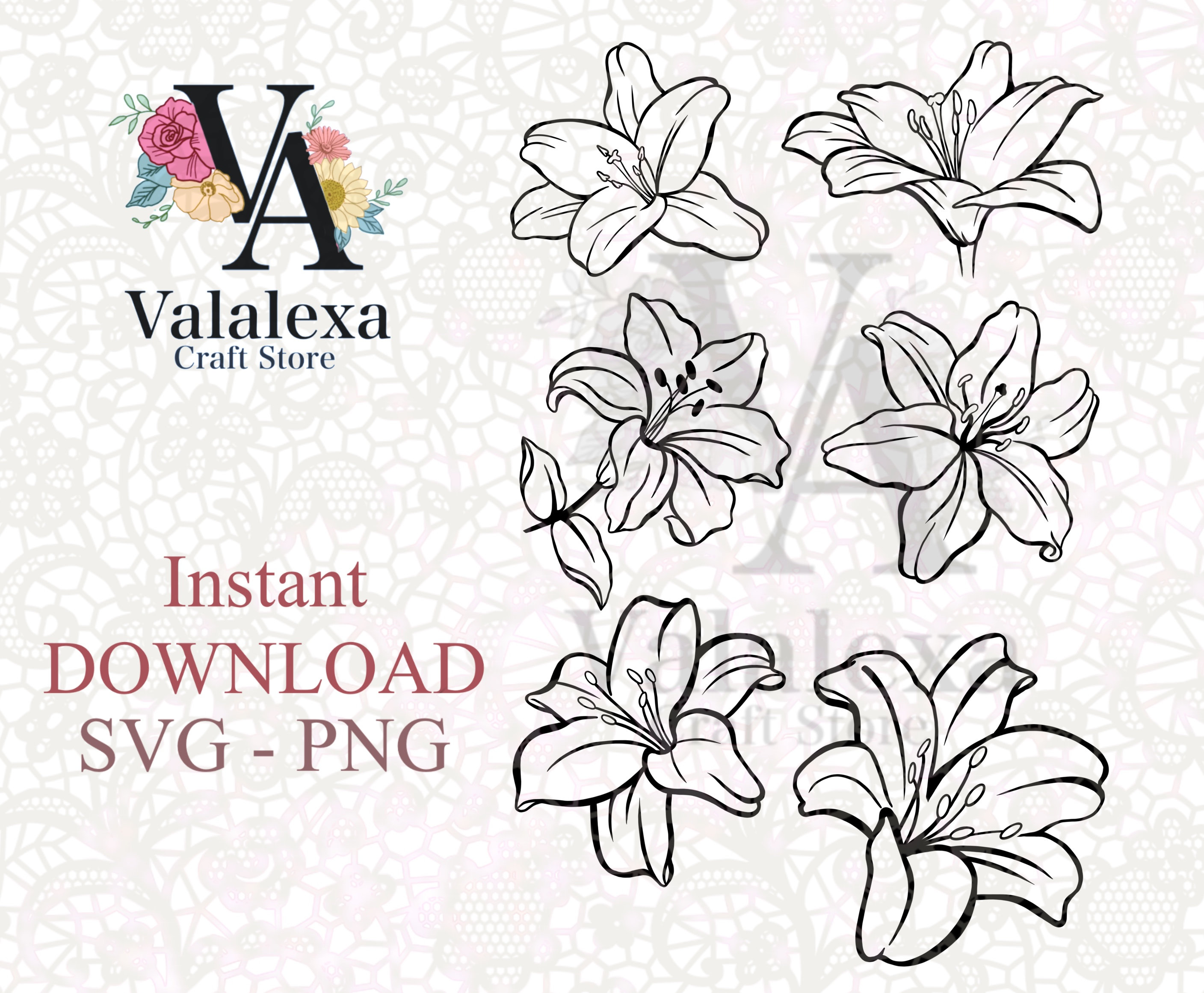 Lily SVG Bundle: Floral Cut Files (PNG, SVG) - Etsy
