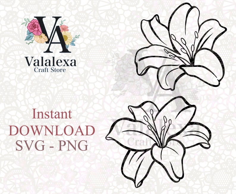 Lily SVG Bundle: Floral Cut Files (PNG, SVG) - Etsy