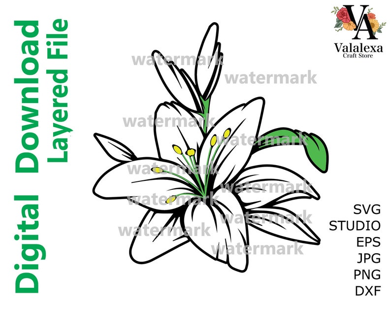 LILY FLOWER SVG, Lily Svg, Lily Svg Bundle, Lily Flower Svg, Lily Cut ...