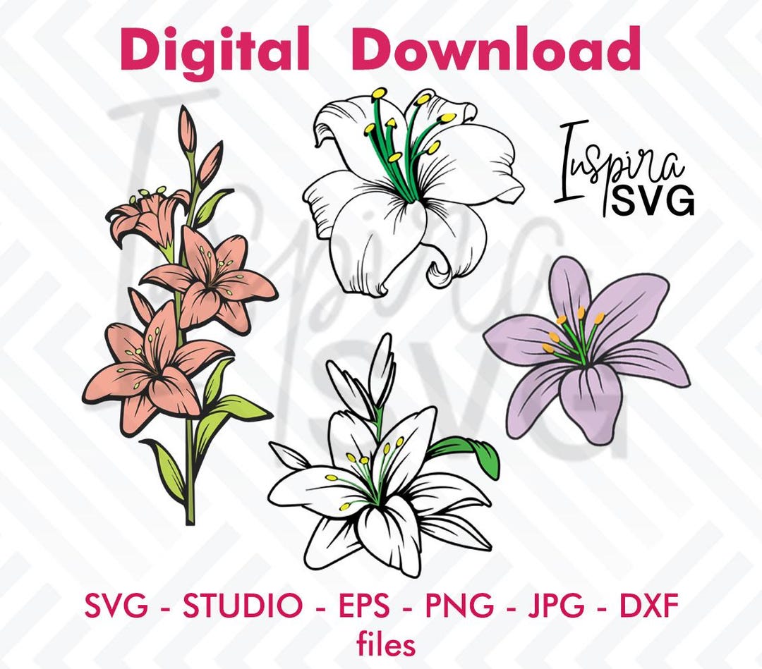 LILY FLOWER SVG, Lily Svg, Lily Svg Bundle, Lily Flower Svg, Lily Cut ...