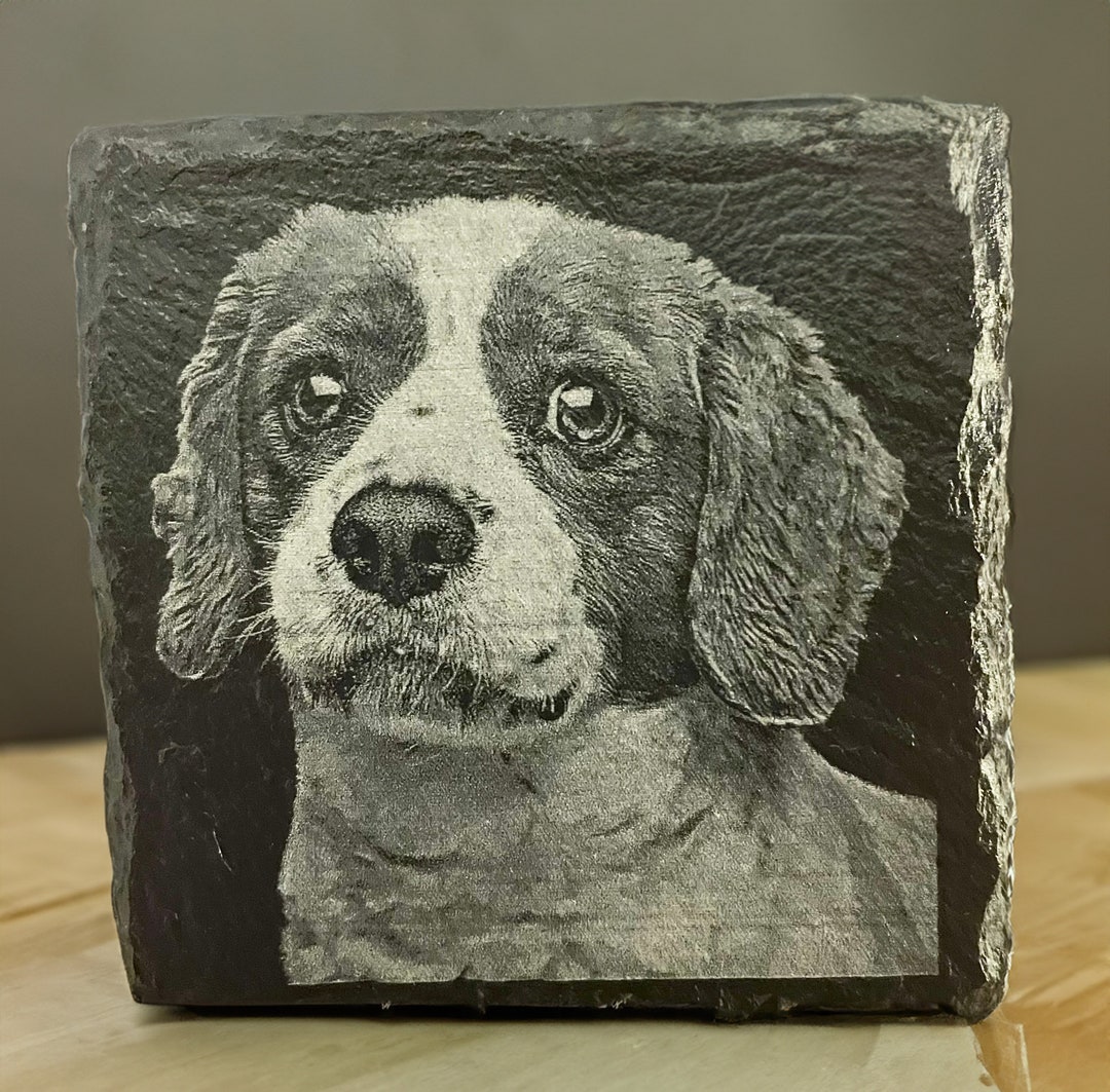 Personalised Logo Pet Family Football Team Photo Slate Coasters ...