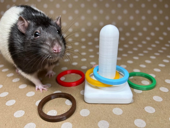 Toys rat store