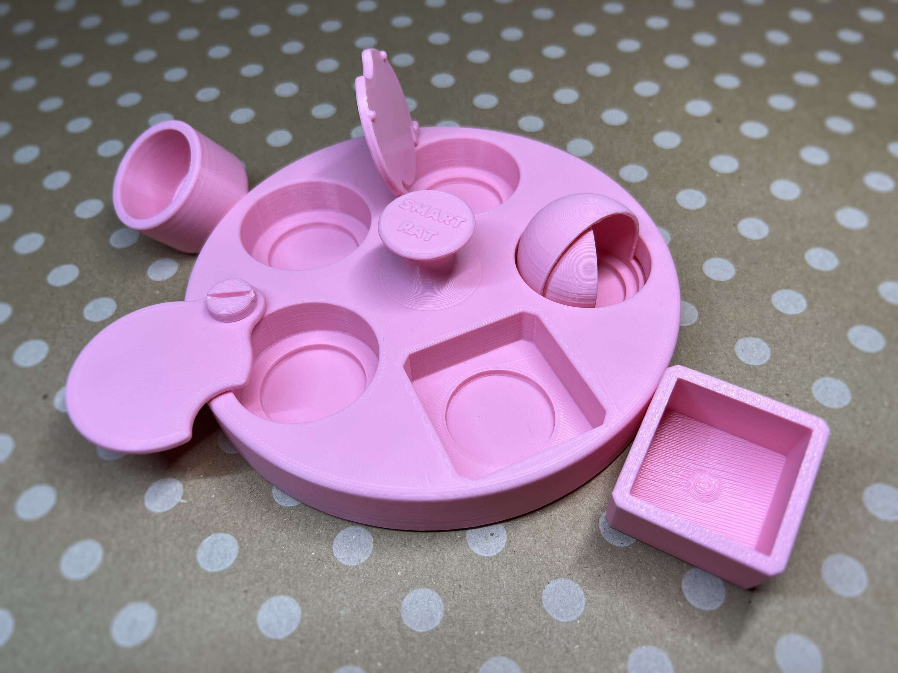 Foraging Toy for Smart Rats (rat Puzzle, Treat Toy) - Etsy
