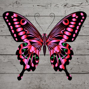 Red Pink Butterfly Svg, Pink Butterfly.png, Bright Pink Butterfly ...