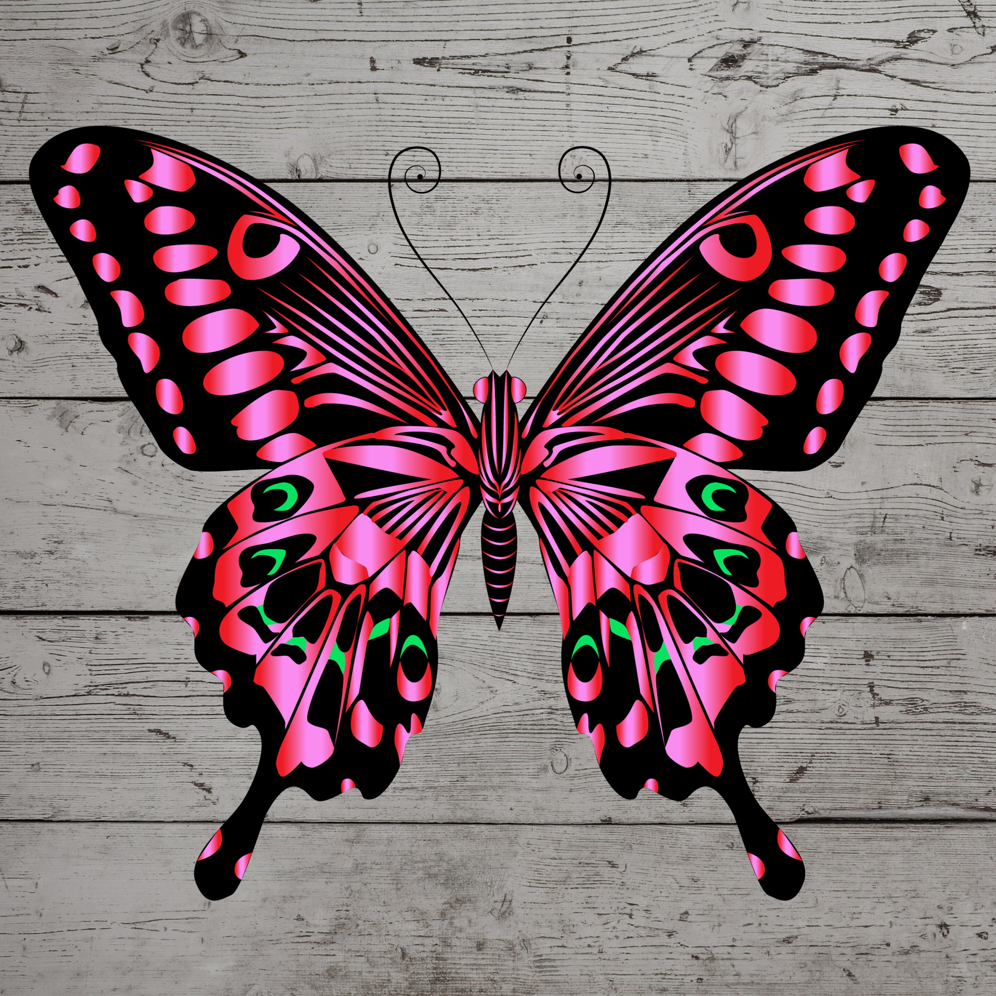 Red Pink Butterfly Svg, Pink Butterfly.png, Bright Pink Butterfly ...