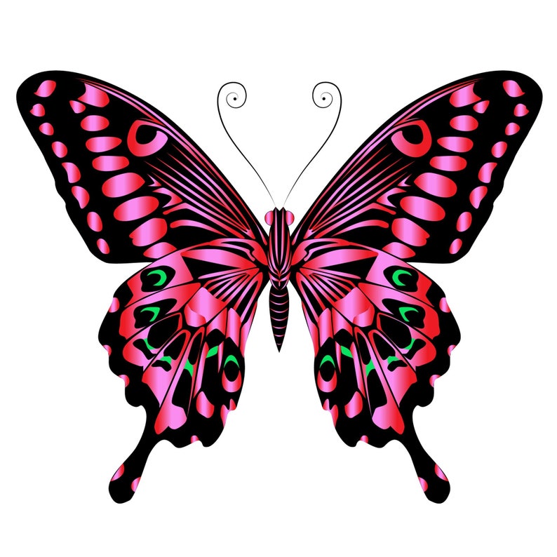 Red Pink Butterfly Svg, Pink Butterfly.png, Bright Pink Butterfly ...