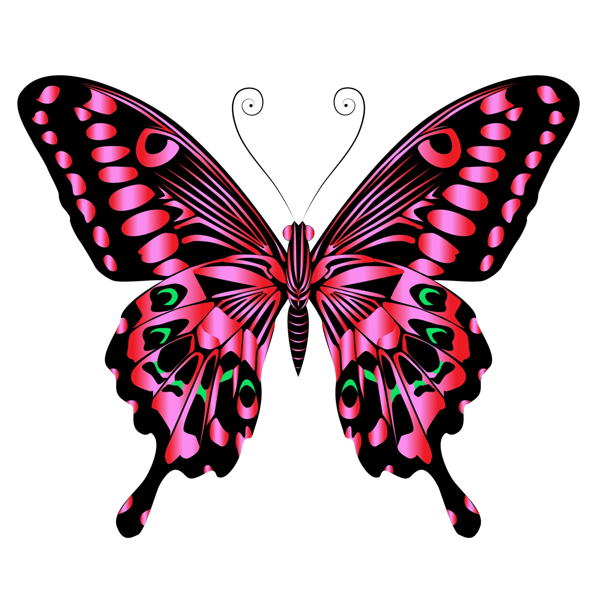 Red Pink Butterfly Svg, Pink Butterfly.png, Bright Pink Butterfly ...