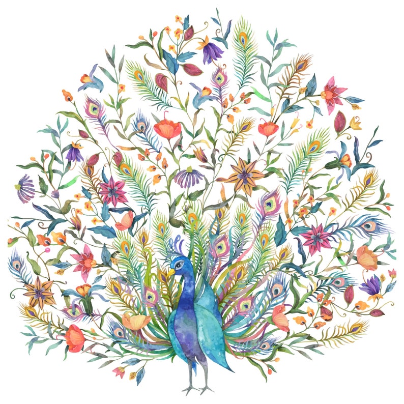 Peacock SVG, Peacock Feather SVG, Peacock Flowers Svg, Peacock Jpg ...