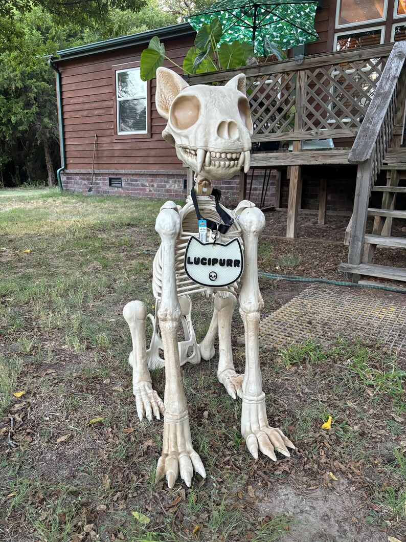 Name Tags for Skeleton Dogs and Cats! - Etsy
