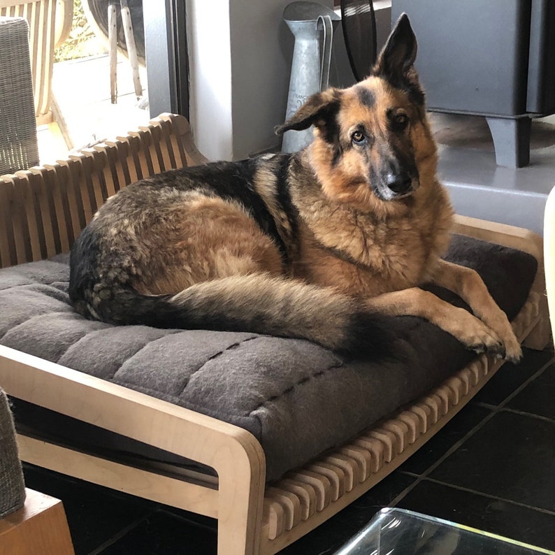 Radius Dog Bed Base CNC Drawing File - Etsy