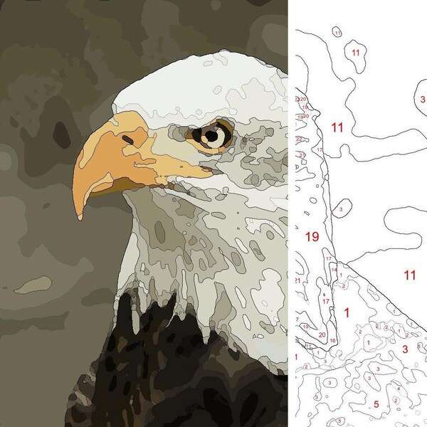Eagle Paint by Number - Etsy