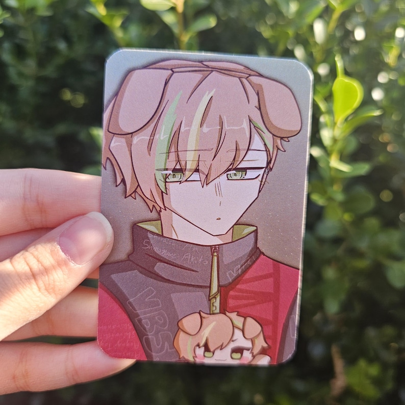 Project Sekai Plushie Photocards - Etsy