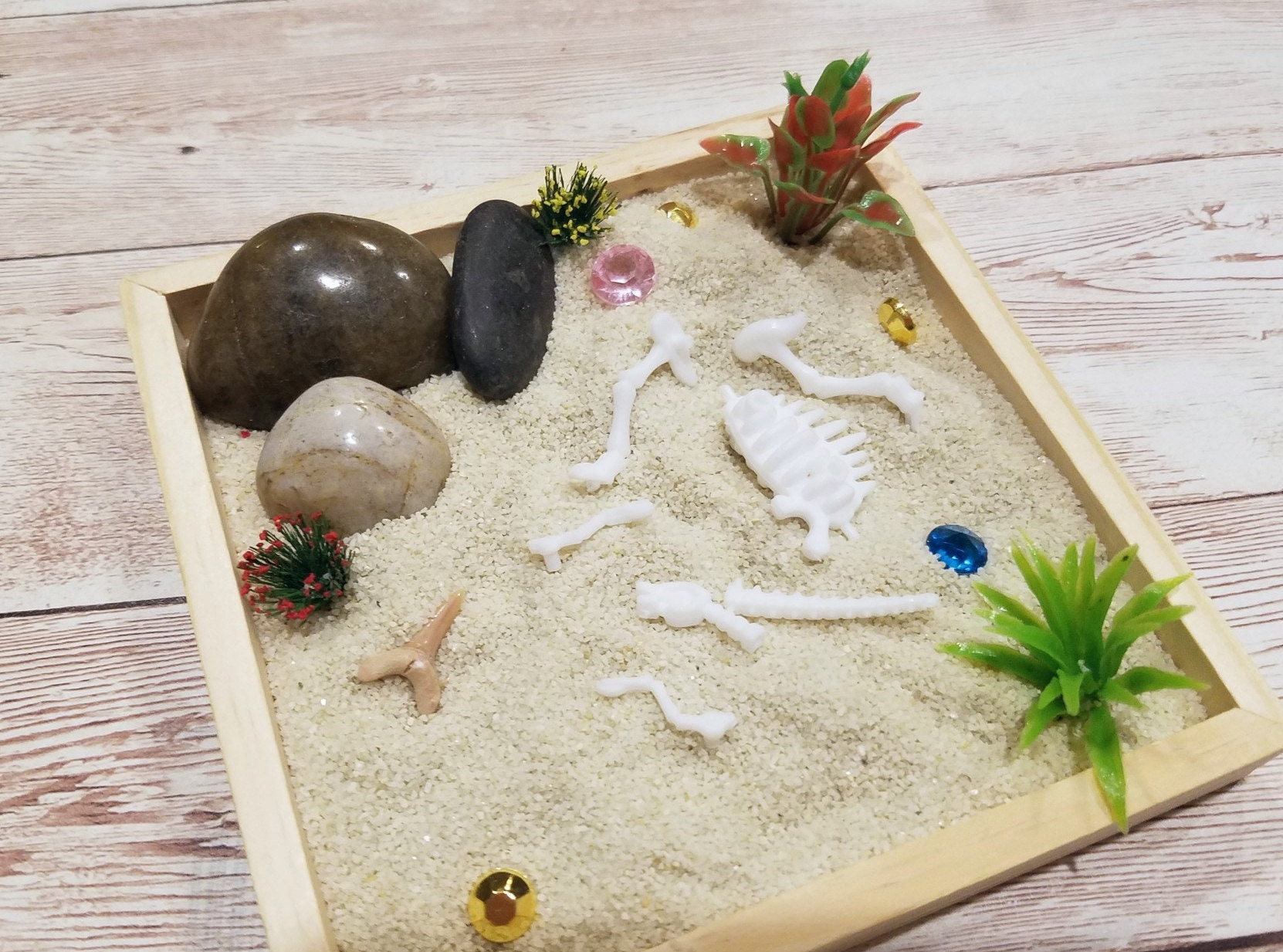 Zen Garden Kit DIY Zen Dinosaur Fossil Dig Zen Garden - Etsy