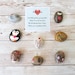 Pebble Pals, Painted Animal Rocks, Pocket Worry Pets, Worry Stones ...