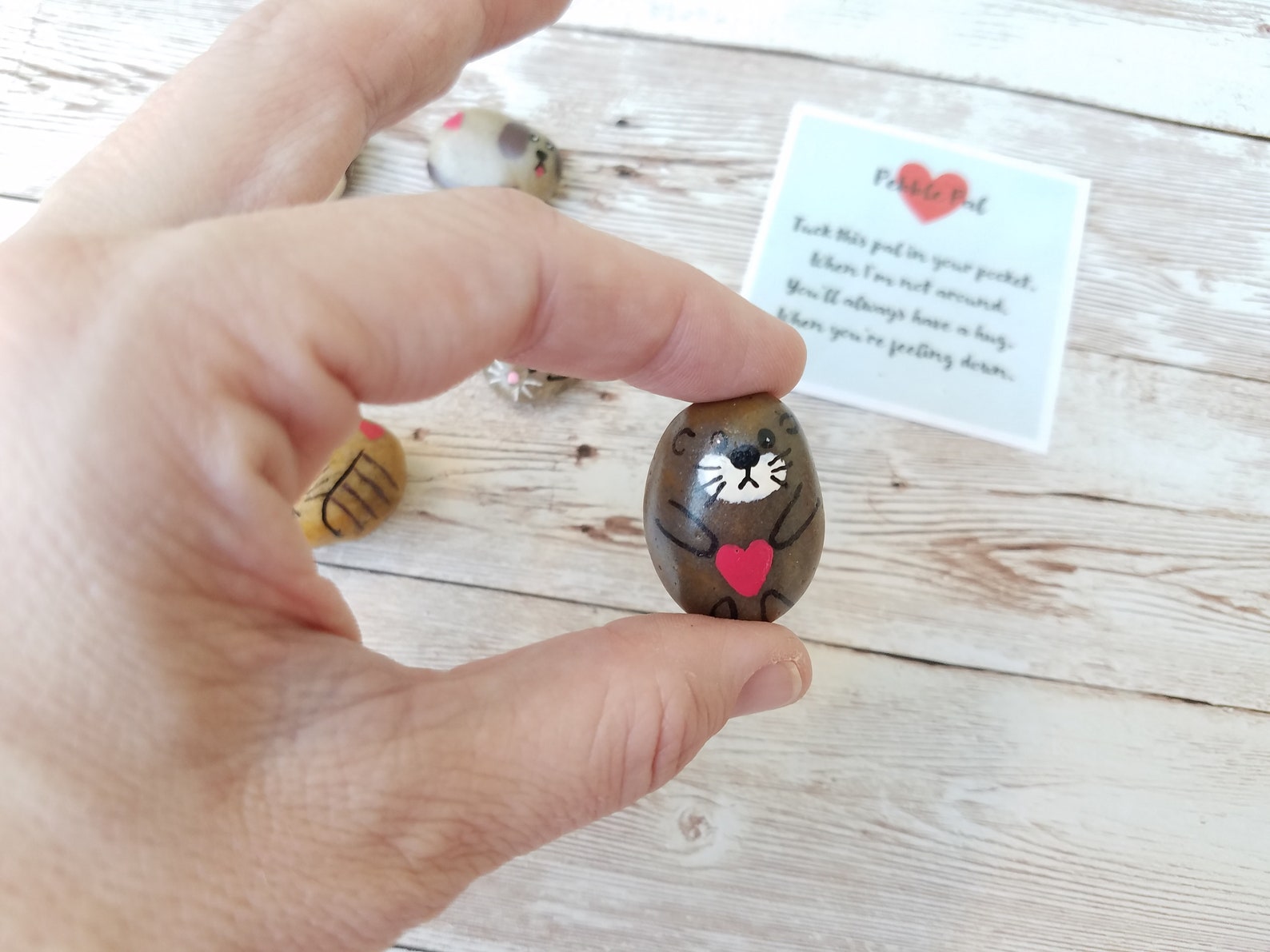 Pebble Pals, Painted Animal Rocks, Pocket Worry Pets, Worry Stones ...