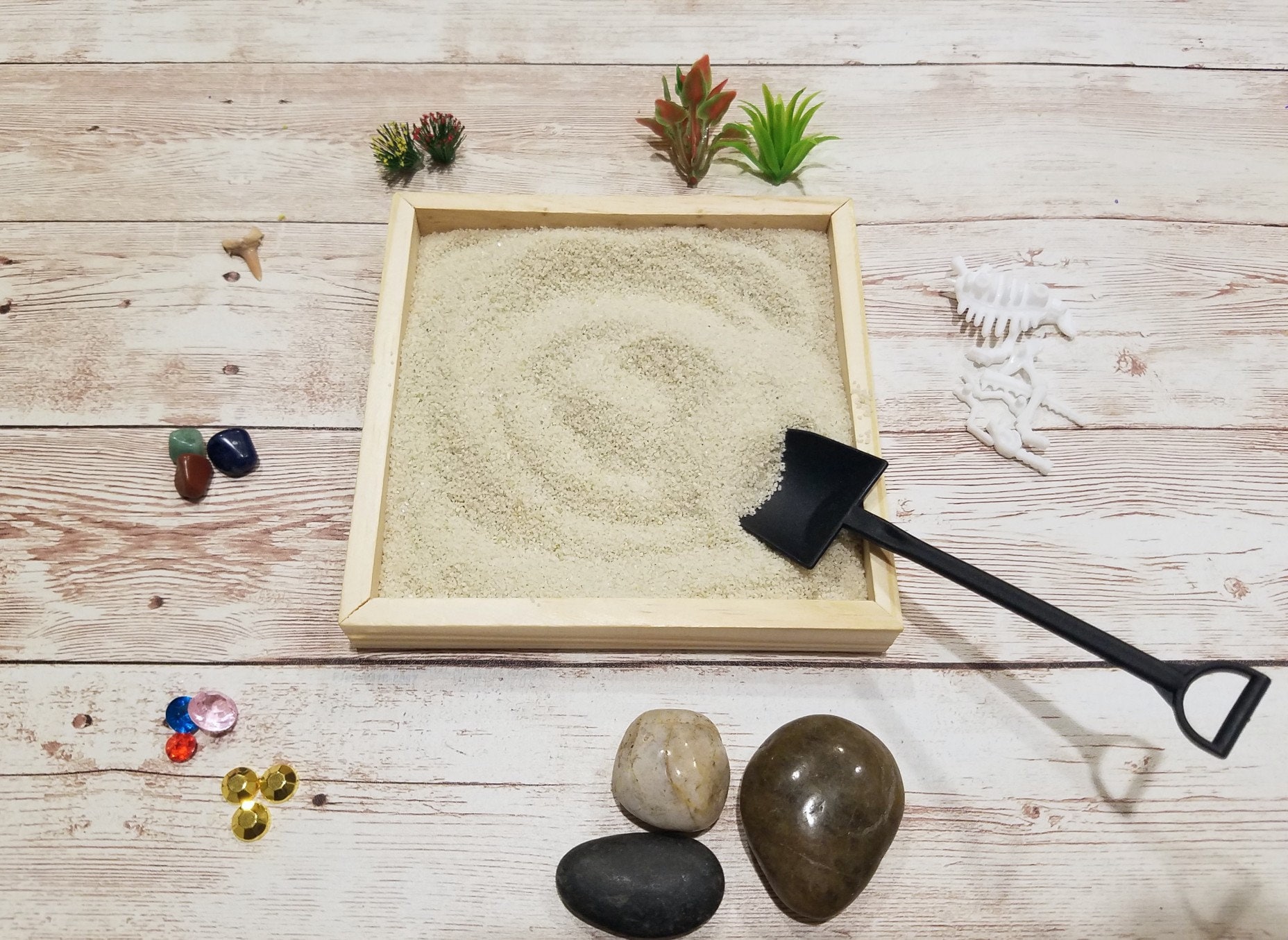 Zen Garden Kit DIY Zen Dinosaur Fossil Dig Zen Garden - Etsy