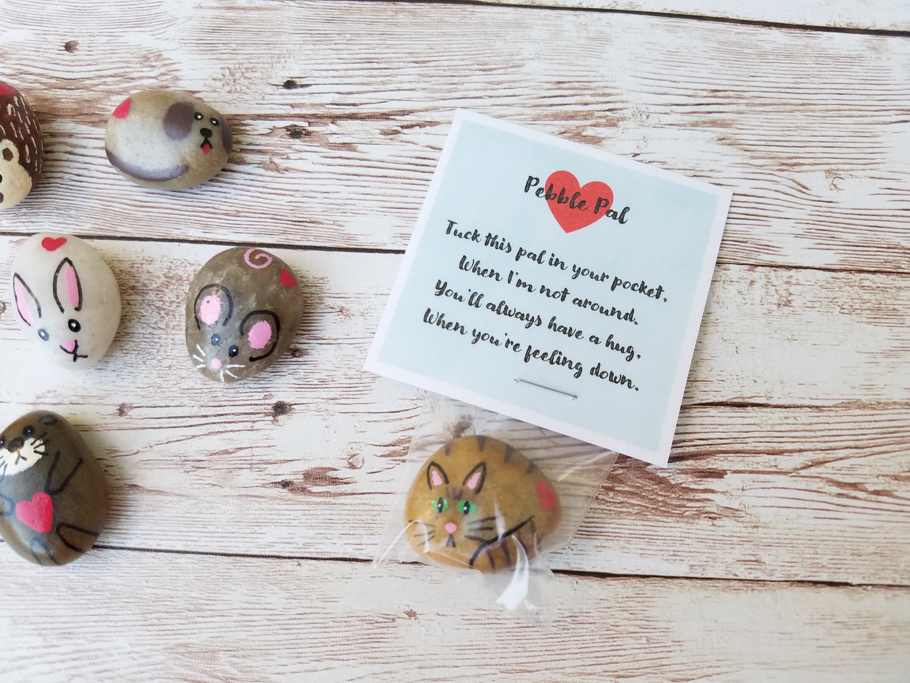 Pebble Pals, Painted Animal Rocks, Pocket Worry Pets, Worry Stones ...