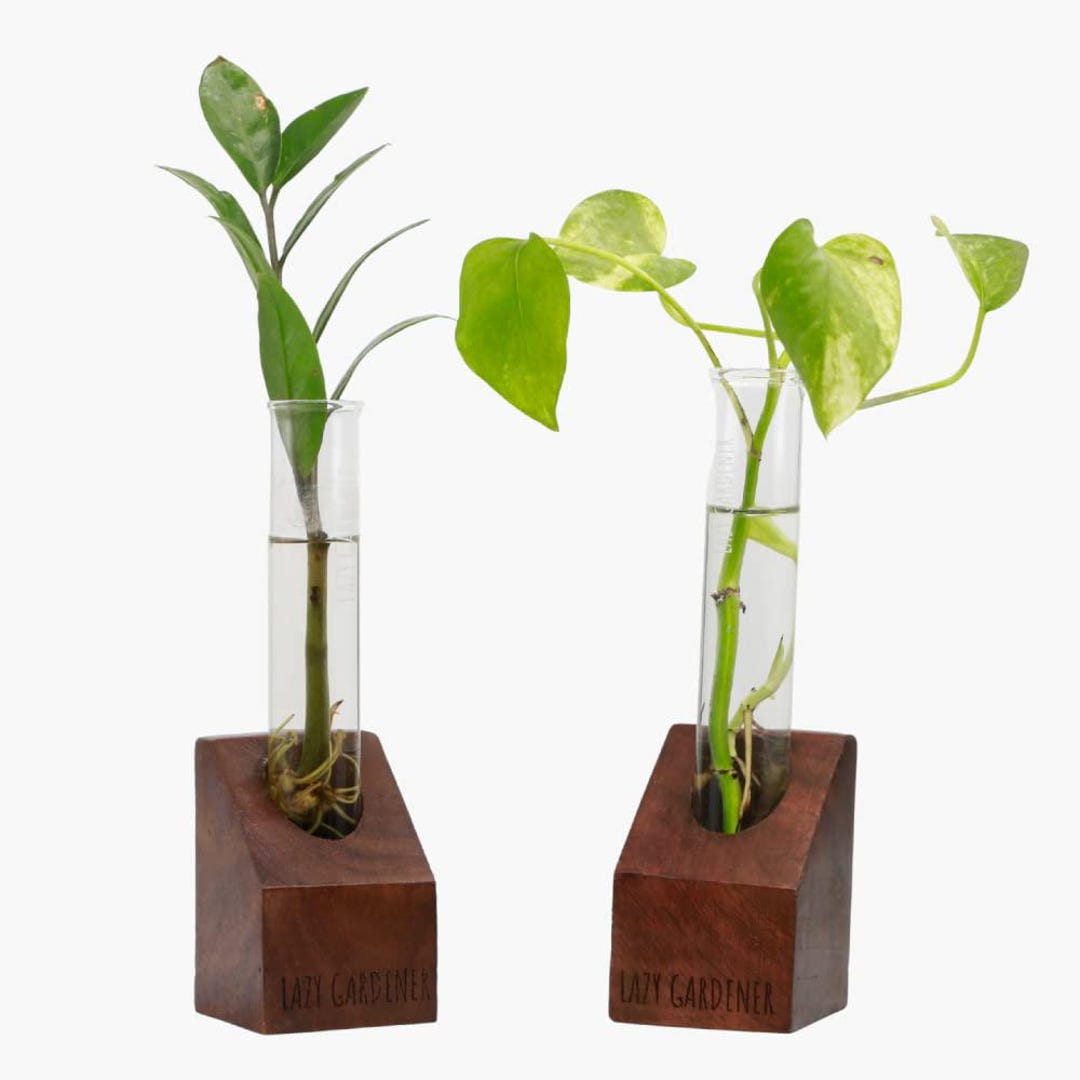 Test Tube Planter, Wood Plant Propagation, Test Tube Wall Planter With ...