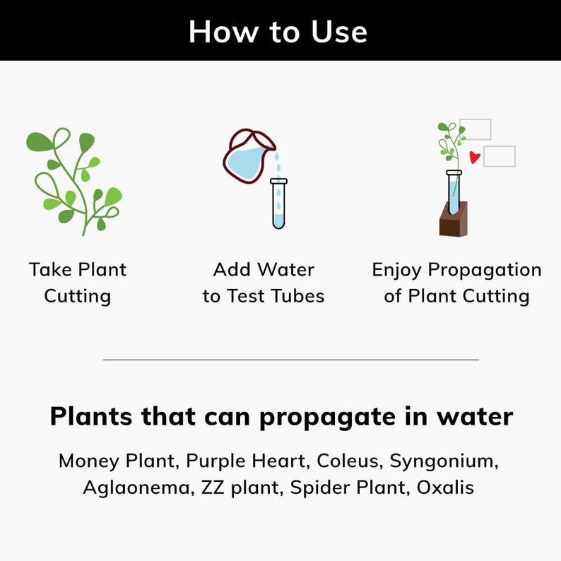 Test Tube Planter, Wood Plant Propagation, Test Tube Wall Planter With ...
