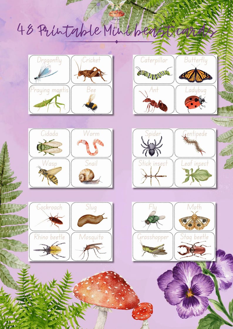 48 Bug and Insect Flashcards | Early Learning Printable, Vocabulary ...