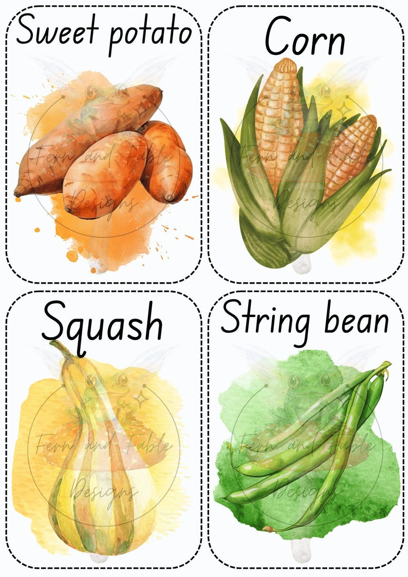 52 Vegetable Flashcards | Early Learning Printable, Vocabulary, Flash ...