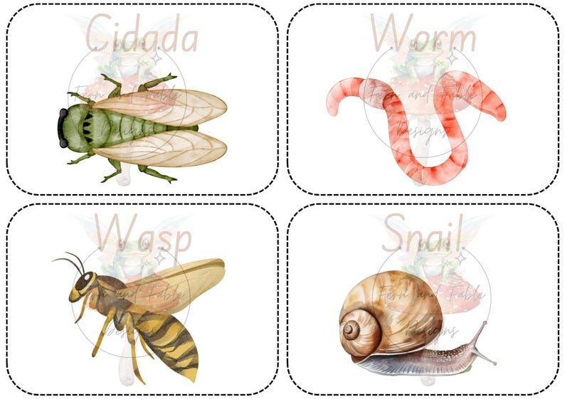 48 Bug and Insect Flashcards | Early Learning Printable, Vocabulary ...