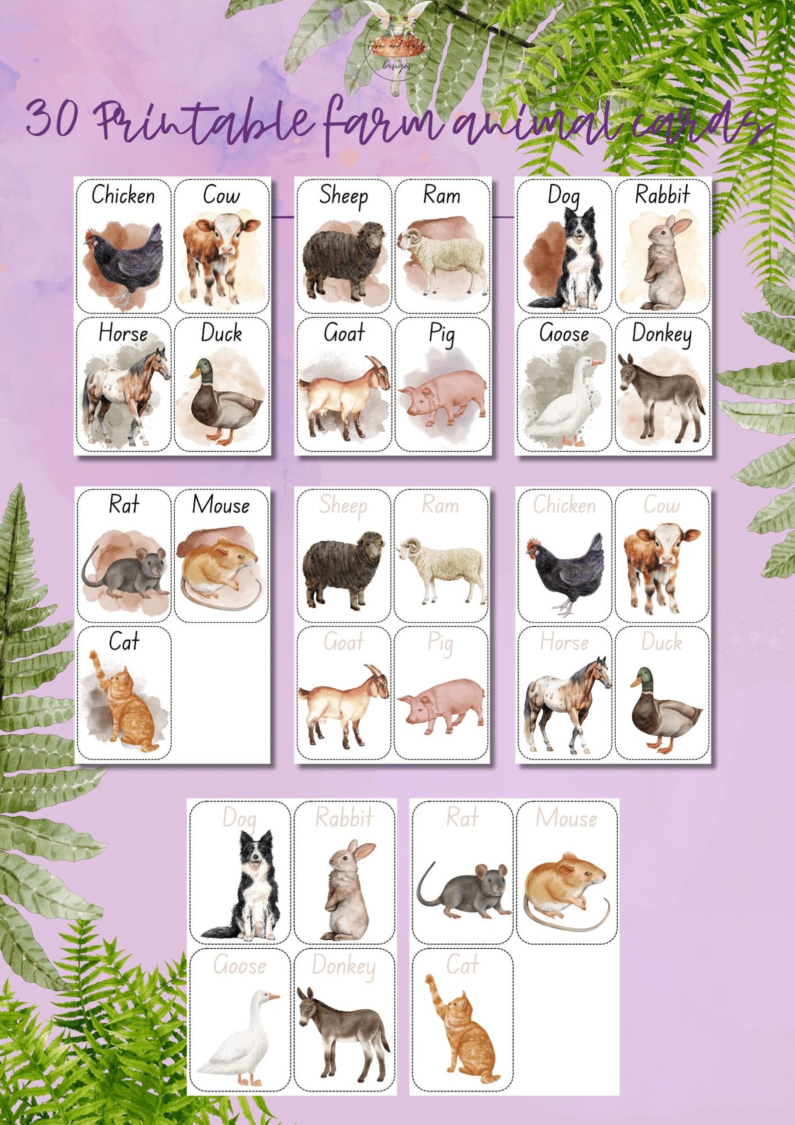 30 Farm Animal Flashcards | Early Learning Printable, Vocabulary, Flash ...