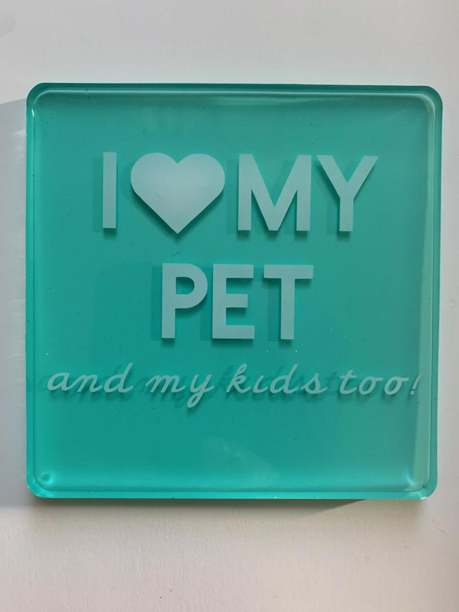 Pet Desk Decor - Etsy