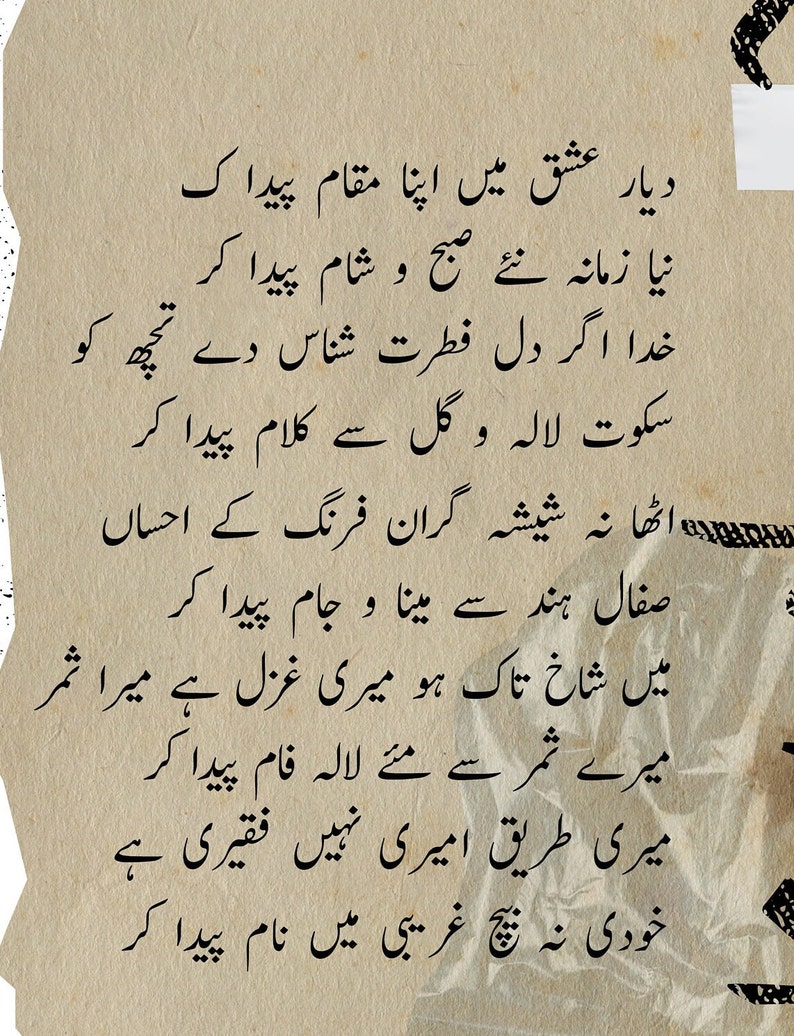 Allama Iqbal Javid Nama Artwork for Inspiration Pakistani - Etsy Canada