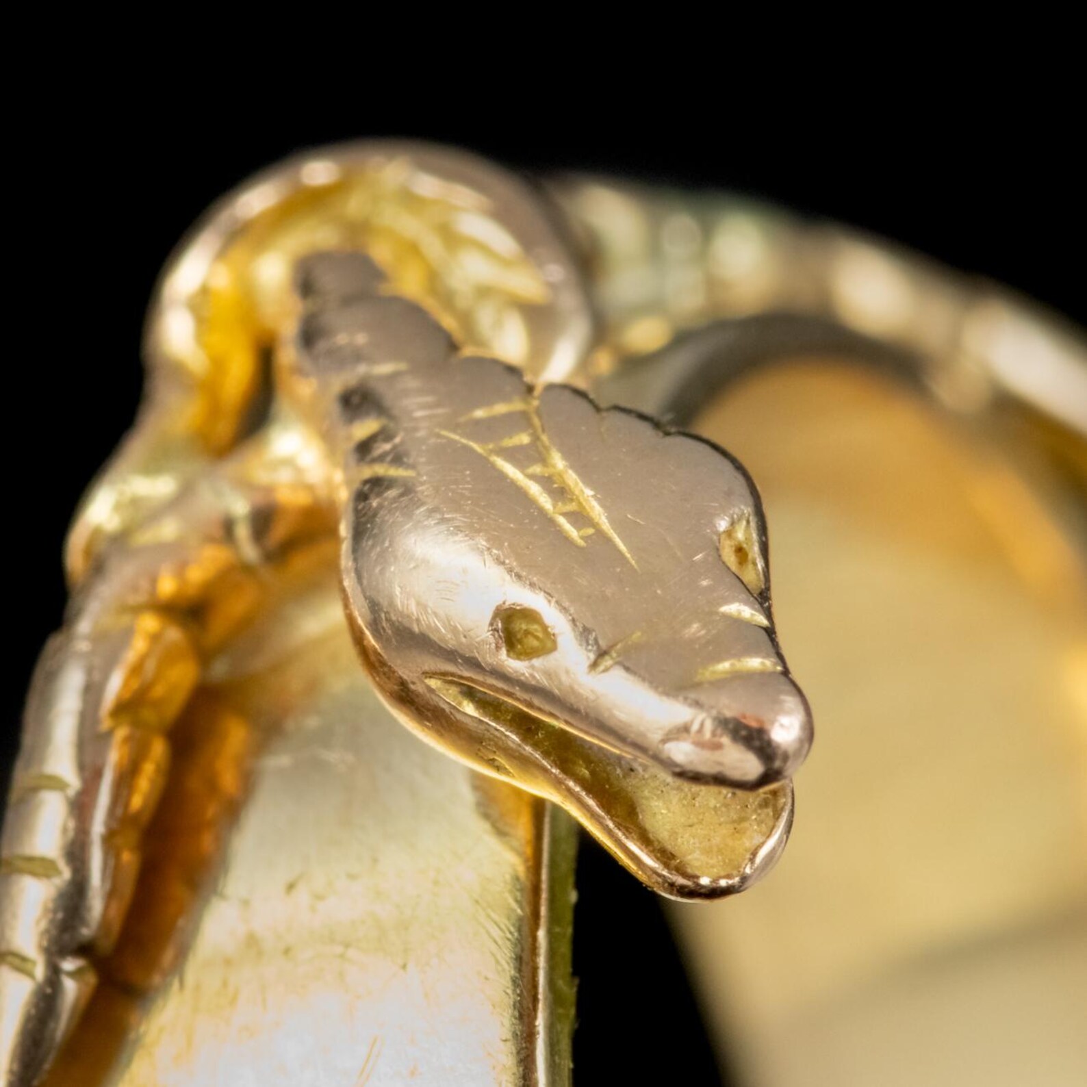 Antique Victorian French Snake Band Ring - Etsy