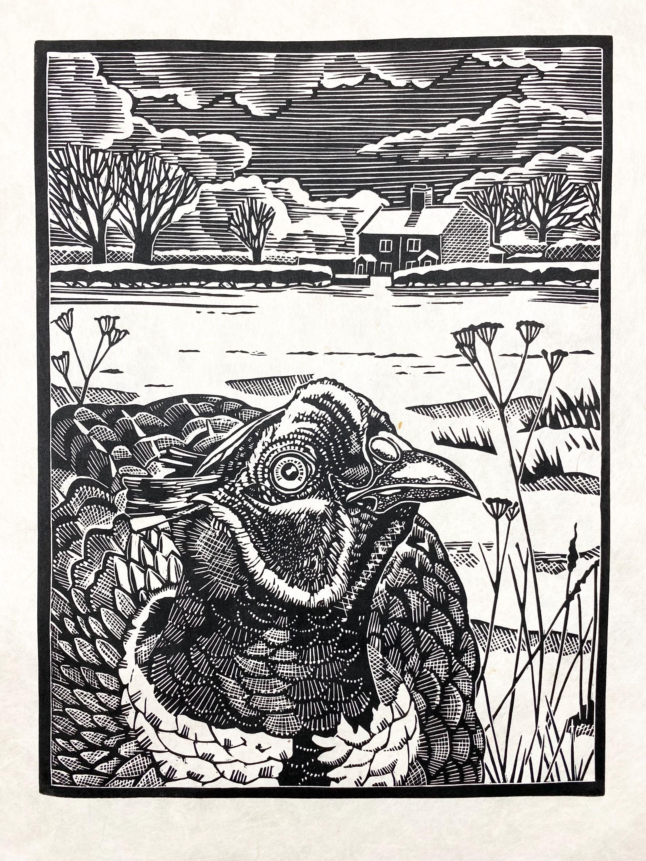 Pheasant in the Winter Snow , Lino Print ( Linoprint ) - Etsy UK