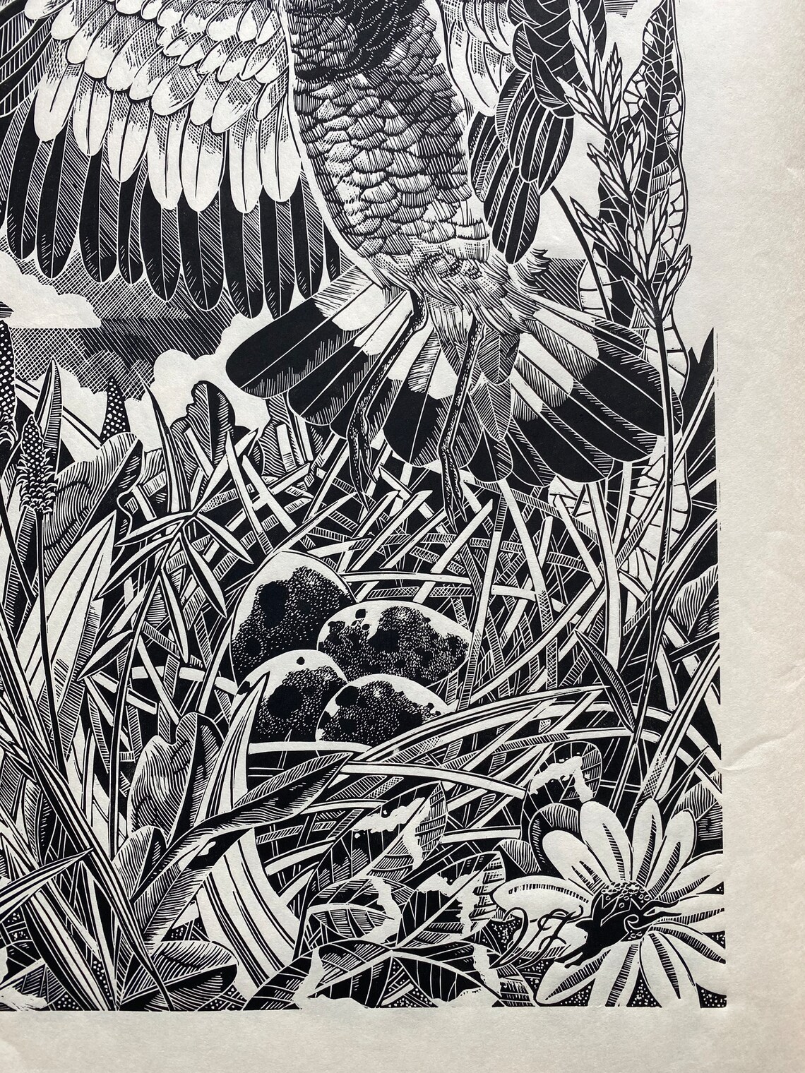 Lapwing Bird Print Large Linoprint Unframed Lino Print - Etsy UK