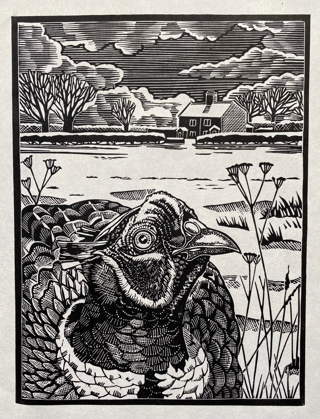 Pheasant in the Winter Snow , Lino Print Linoprint - Etsy UK
