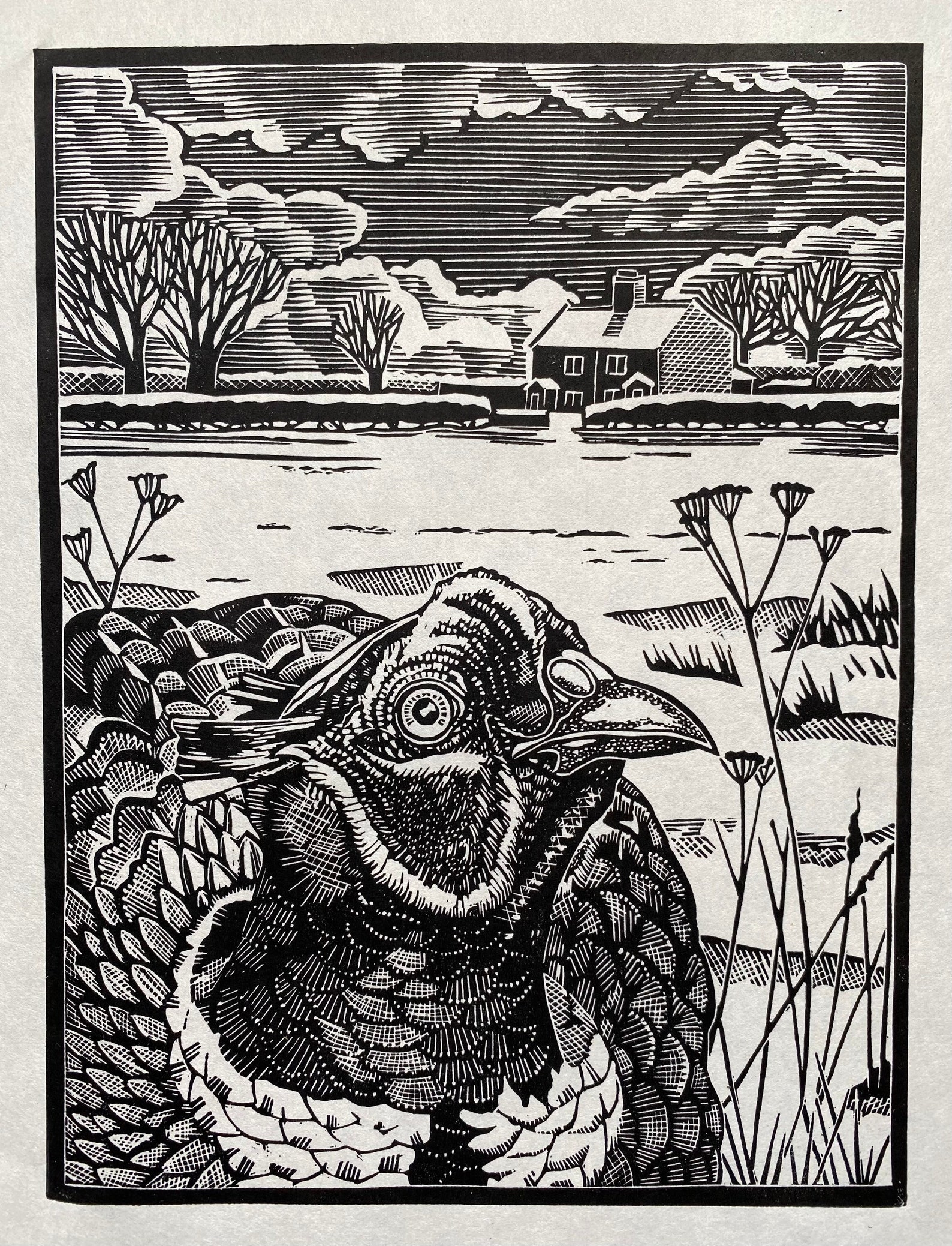Pheasant in the Winter Snow , Lino Print Linoprint - Etsy UK