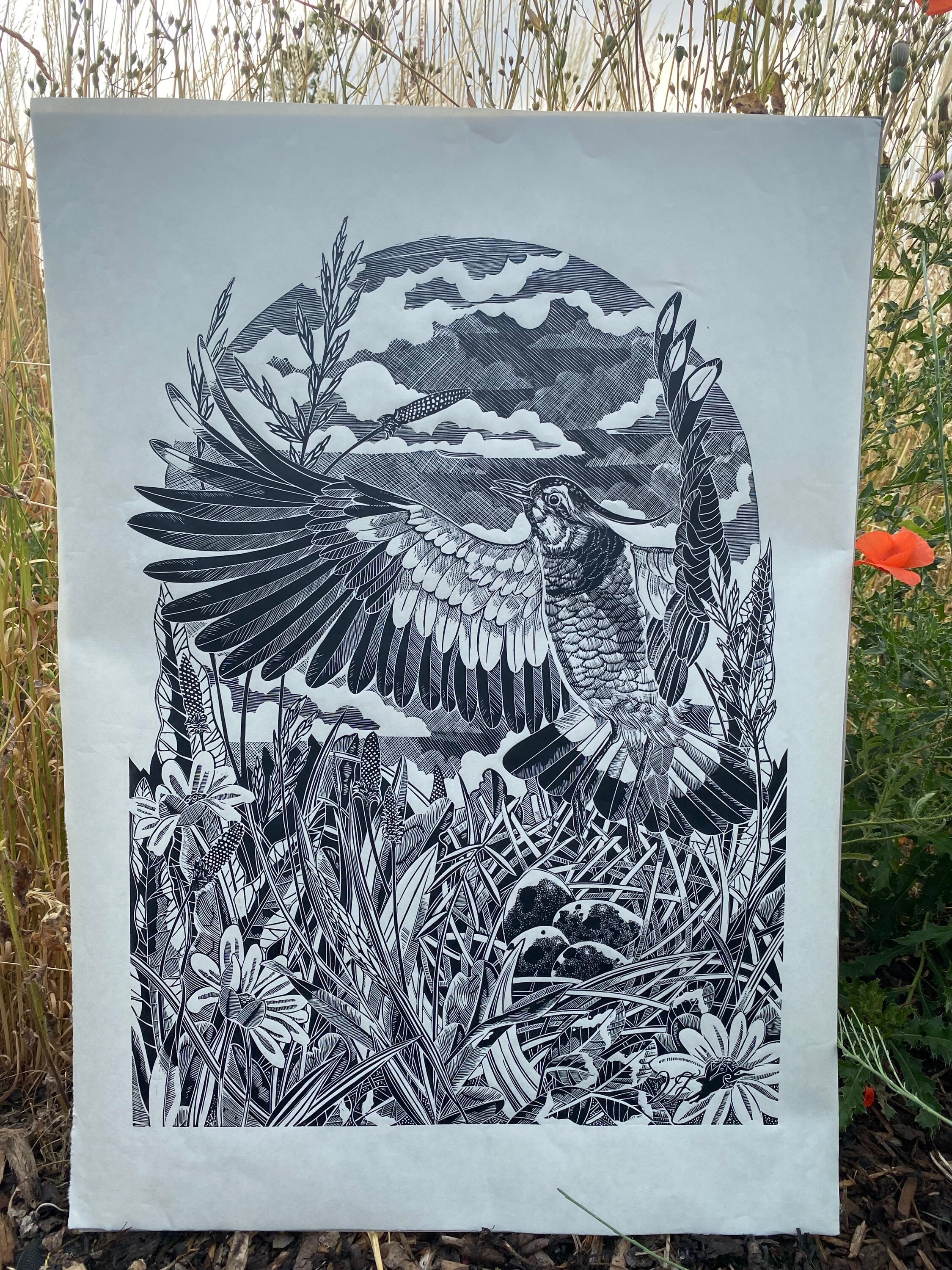 Lapwing Bird Print , Large Linoprint Unframed, Lino Print - Etsy UK