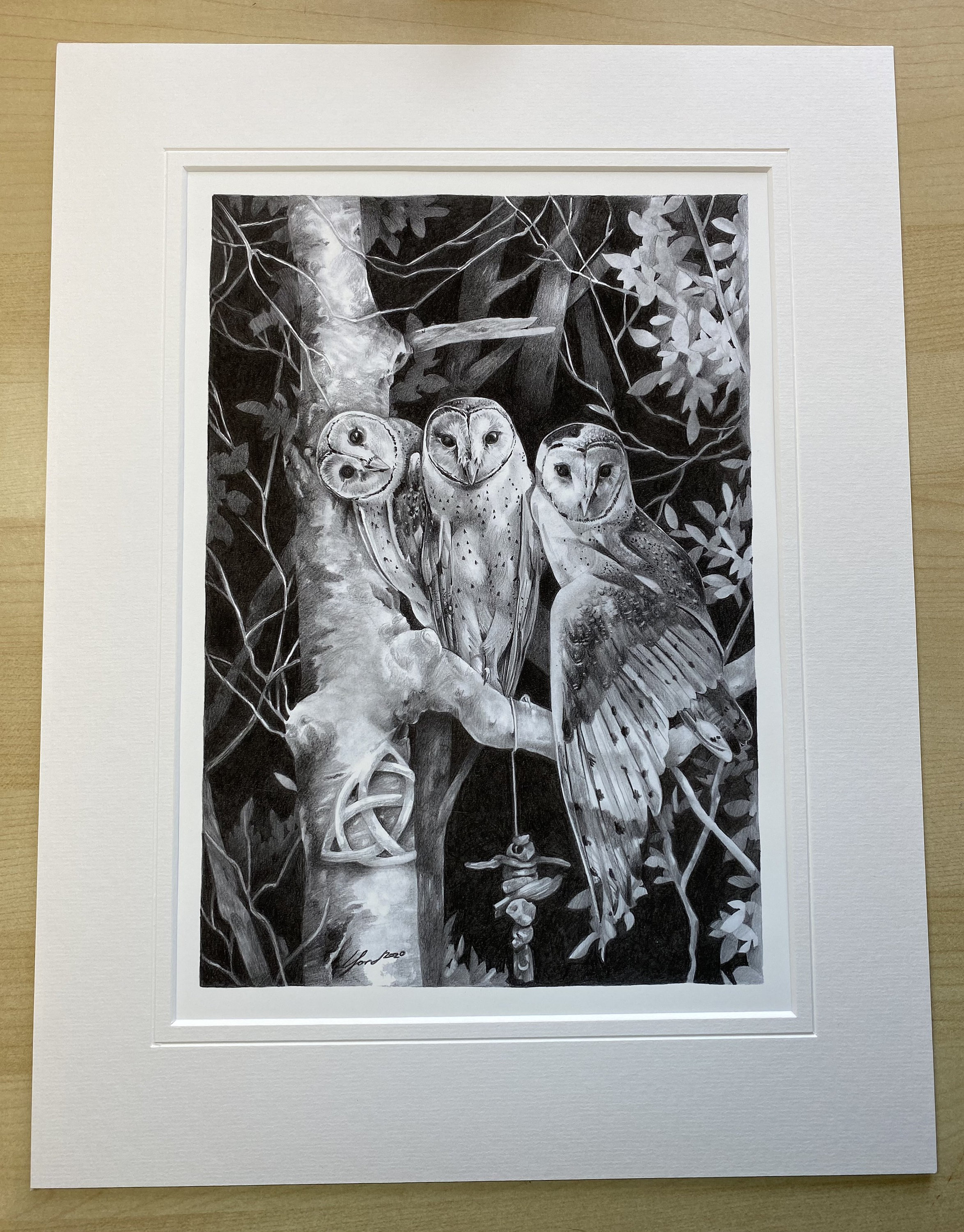 Barn Owl Pencil Drawing Giclee Print - Etsy