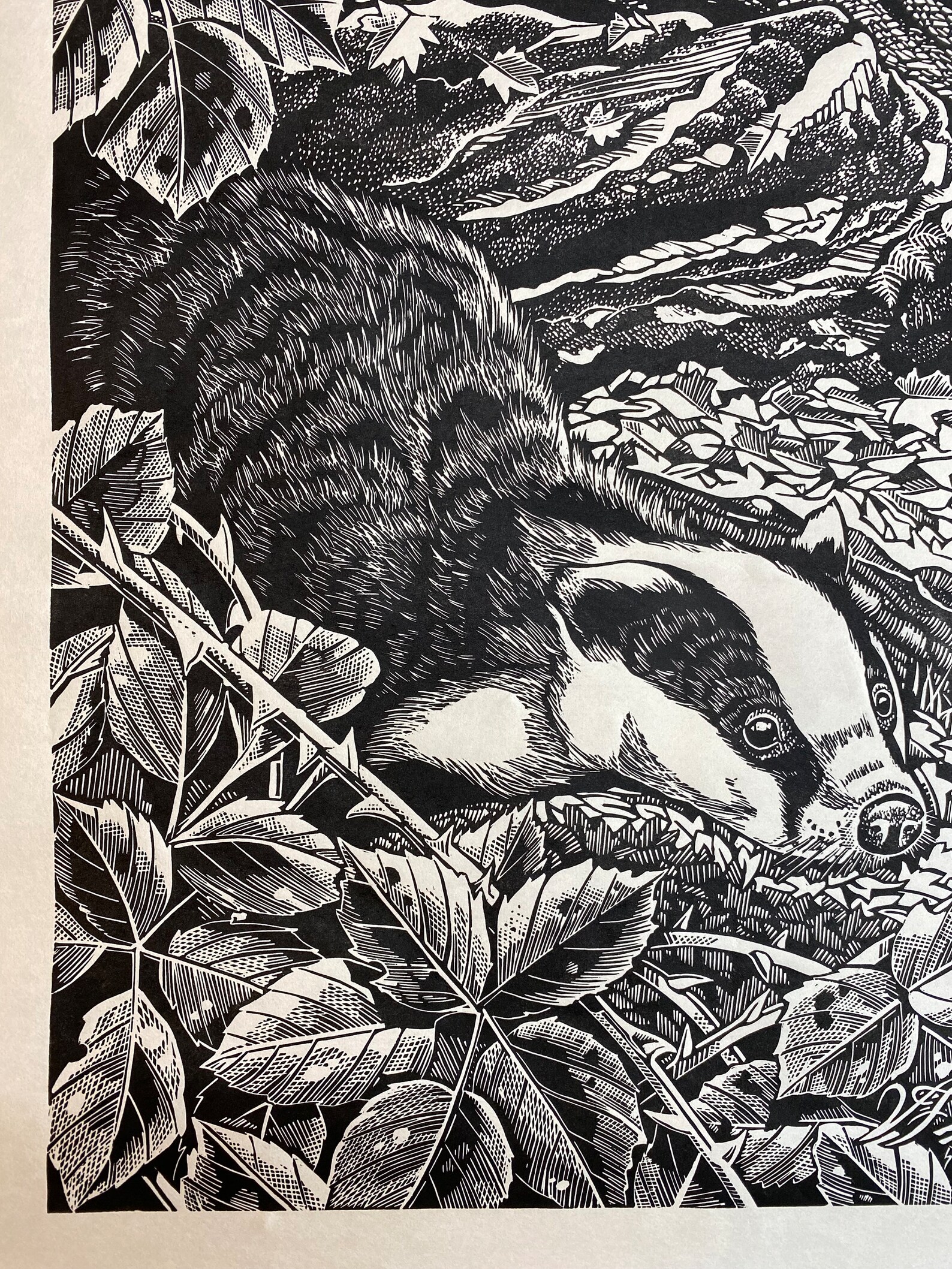 Badger Lino Print - Etsy