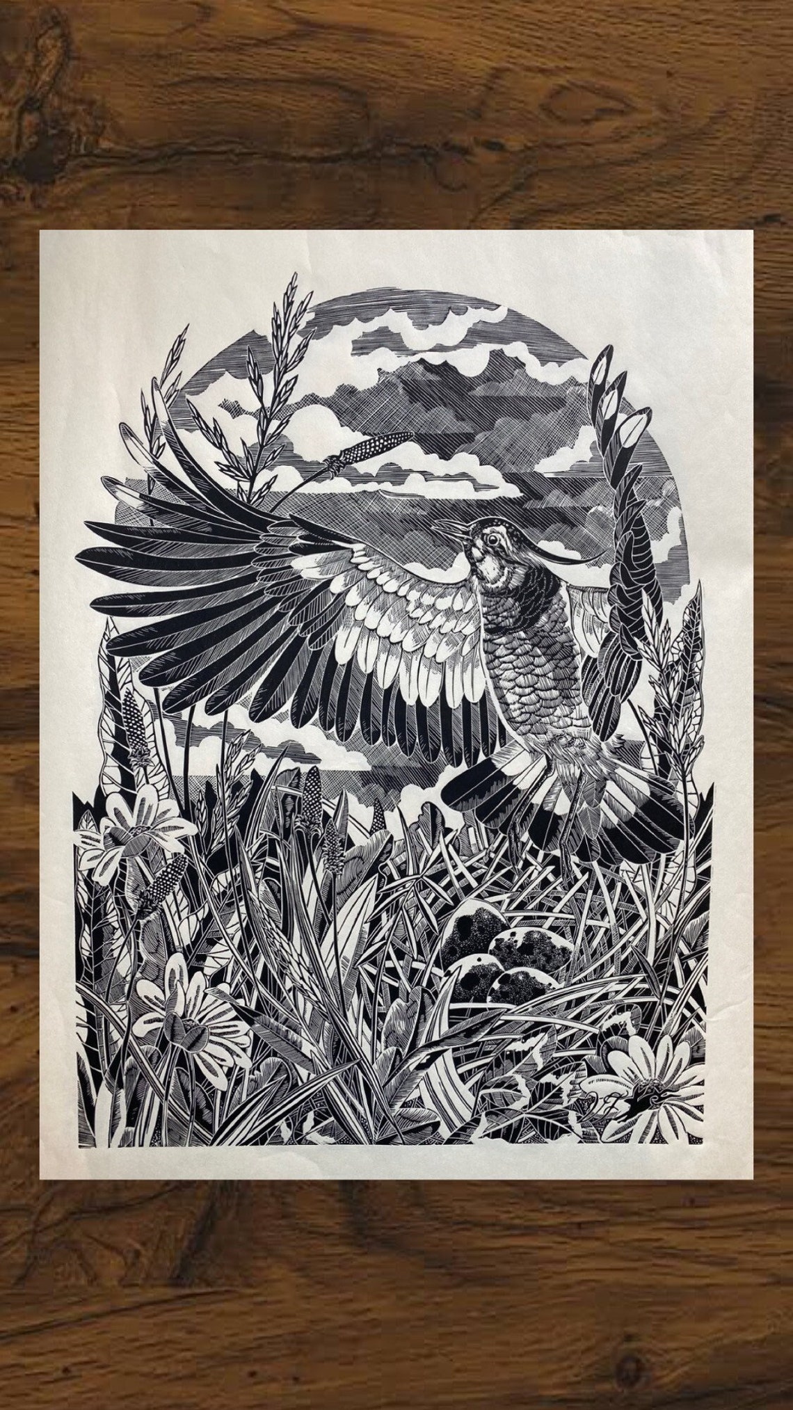Lapwing Bird Print Large Linoprint Unframed Lino Print - Etsy UK