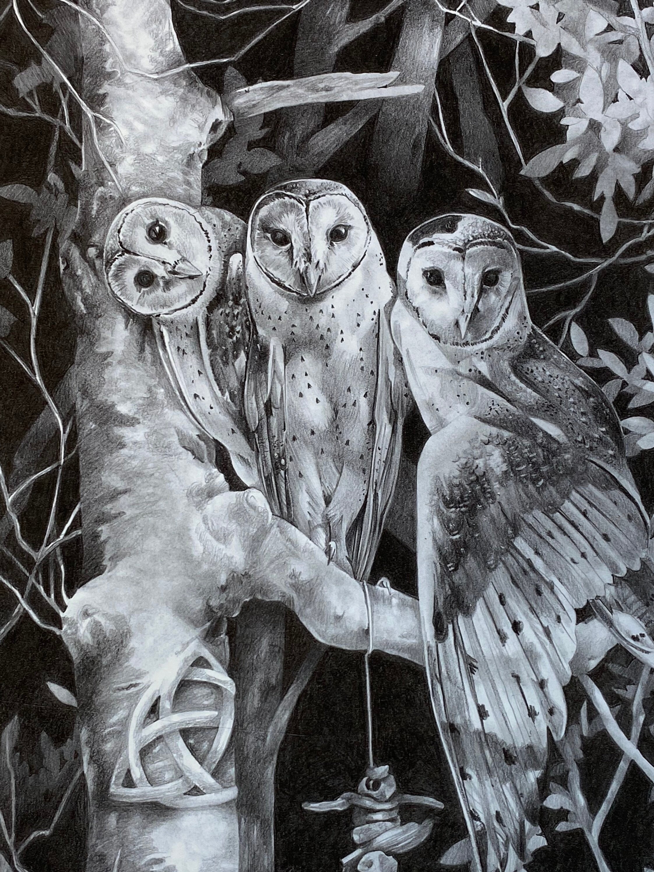 Barn Owl Pencil Drawing Giclee Print - Etsy