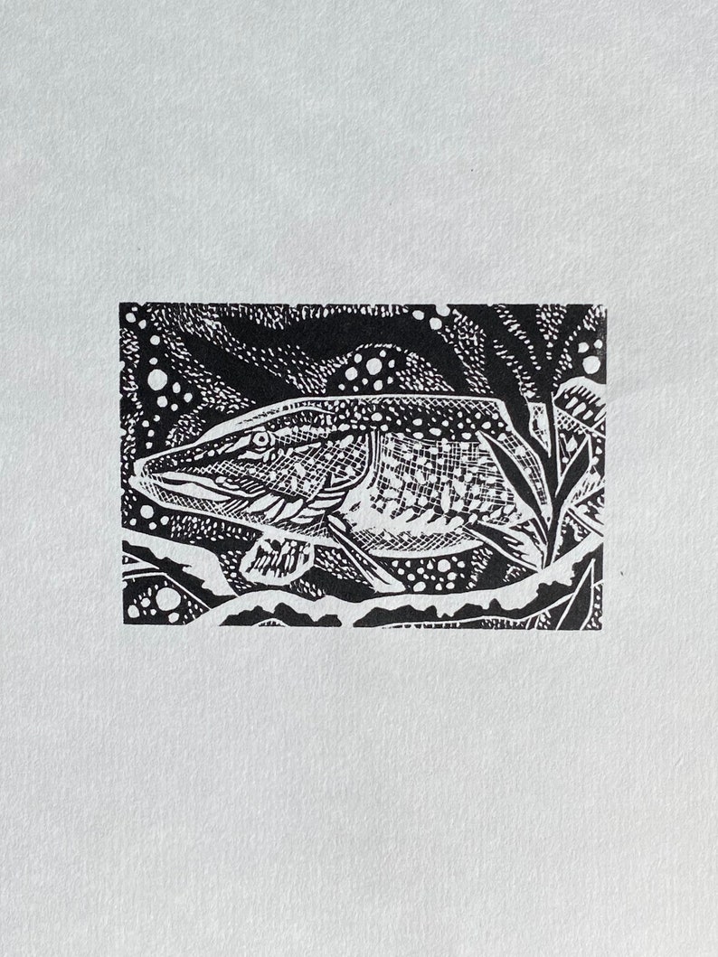 Pike Wood Engraving Print - Etsy