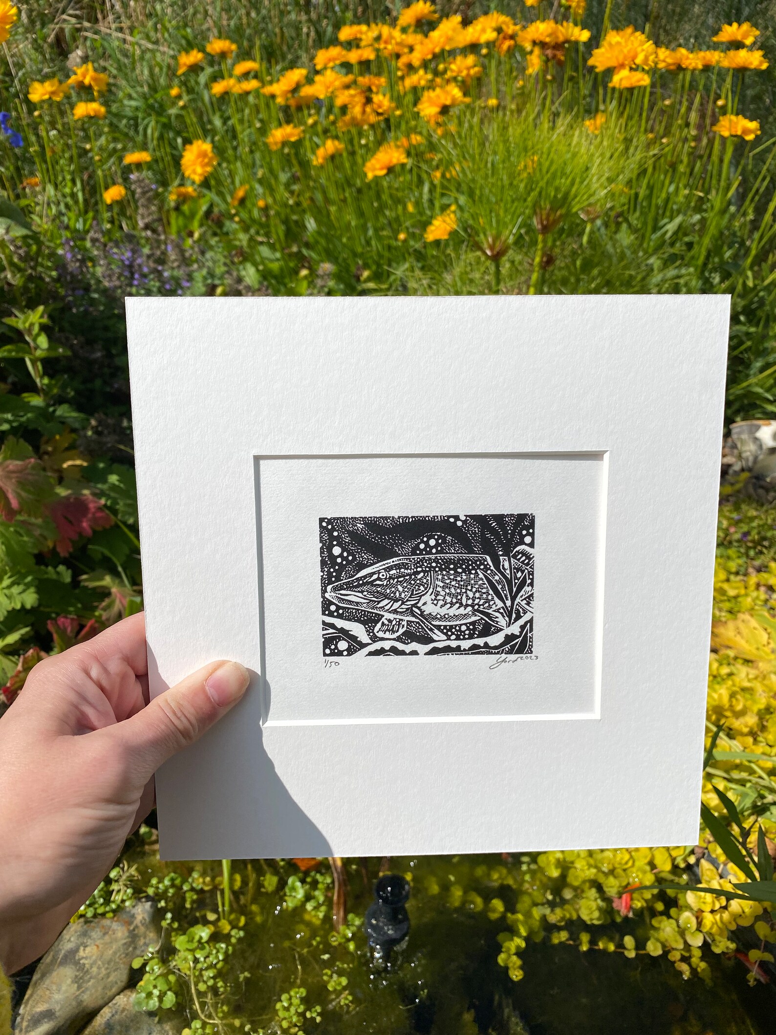 Pike Wood Engraving Print - Etsy