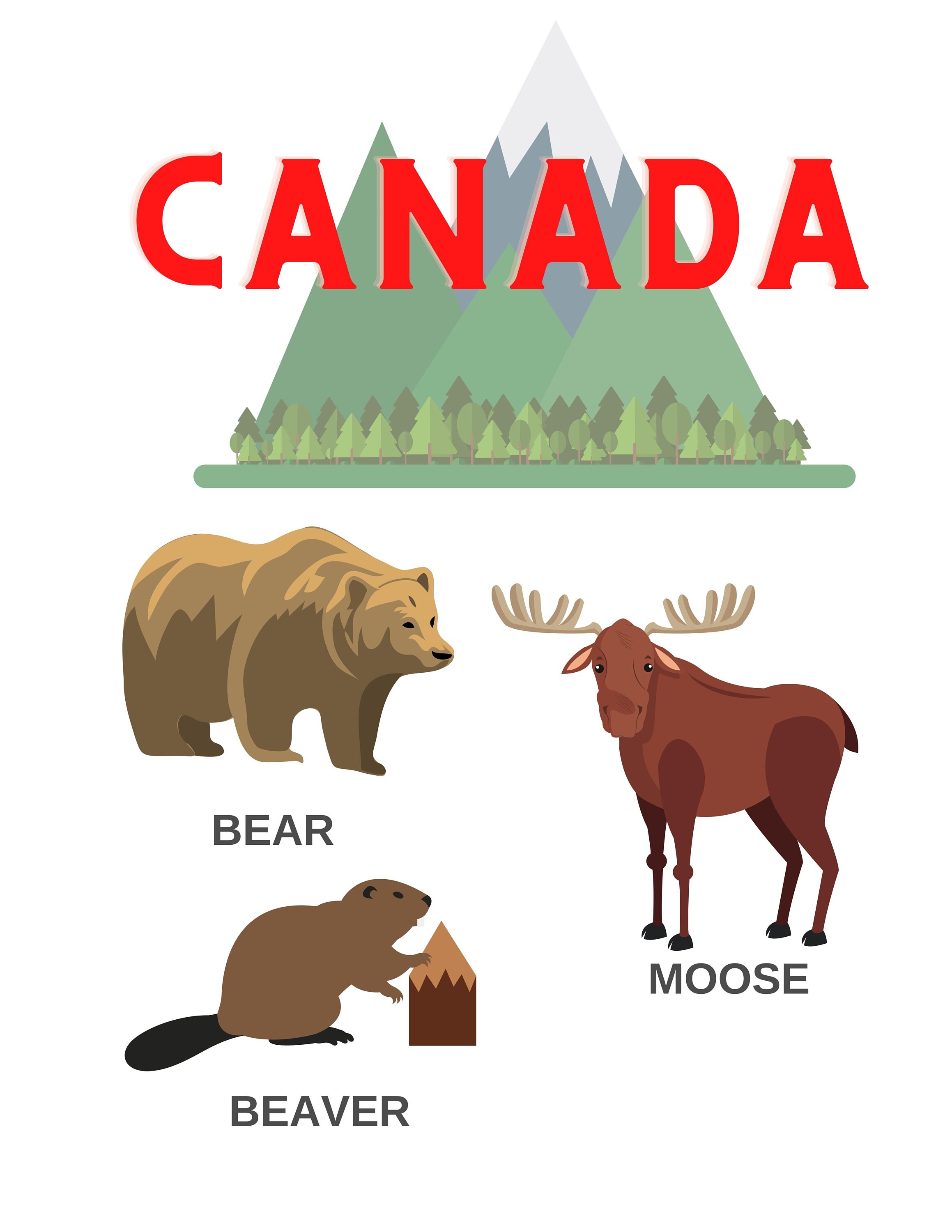 Canadian Animals Art Print | for Kids Room, Playroom or Nursery | Lodge ...