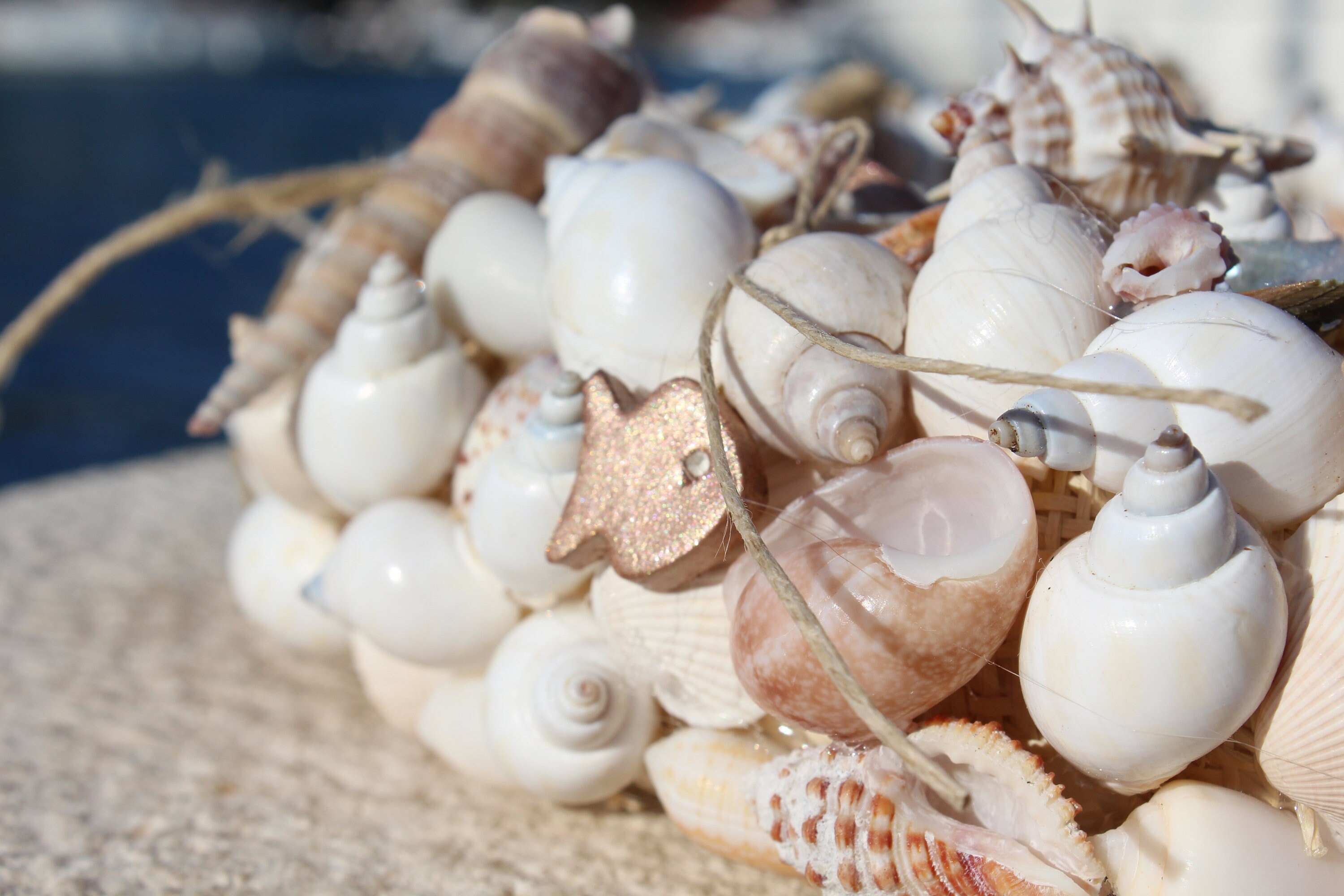 Shell Wreath / Unique Home Decor / Wreath Seashells / Coastal ...