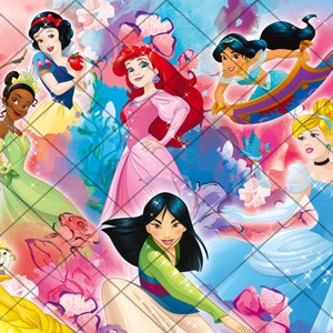 Princess Tumbler Design - Ariel Belle Cinderella Snow White Jasmine ...