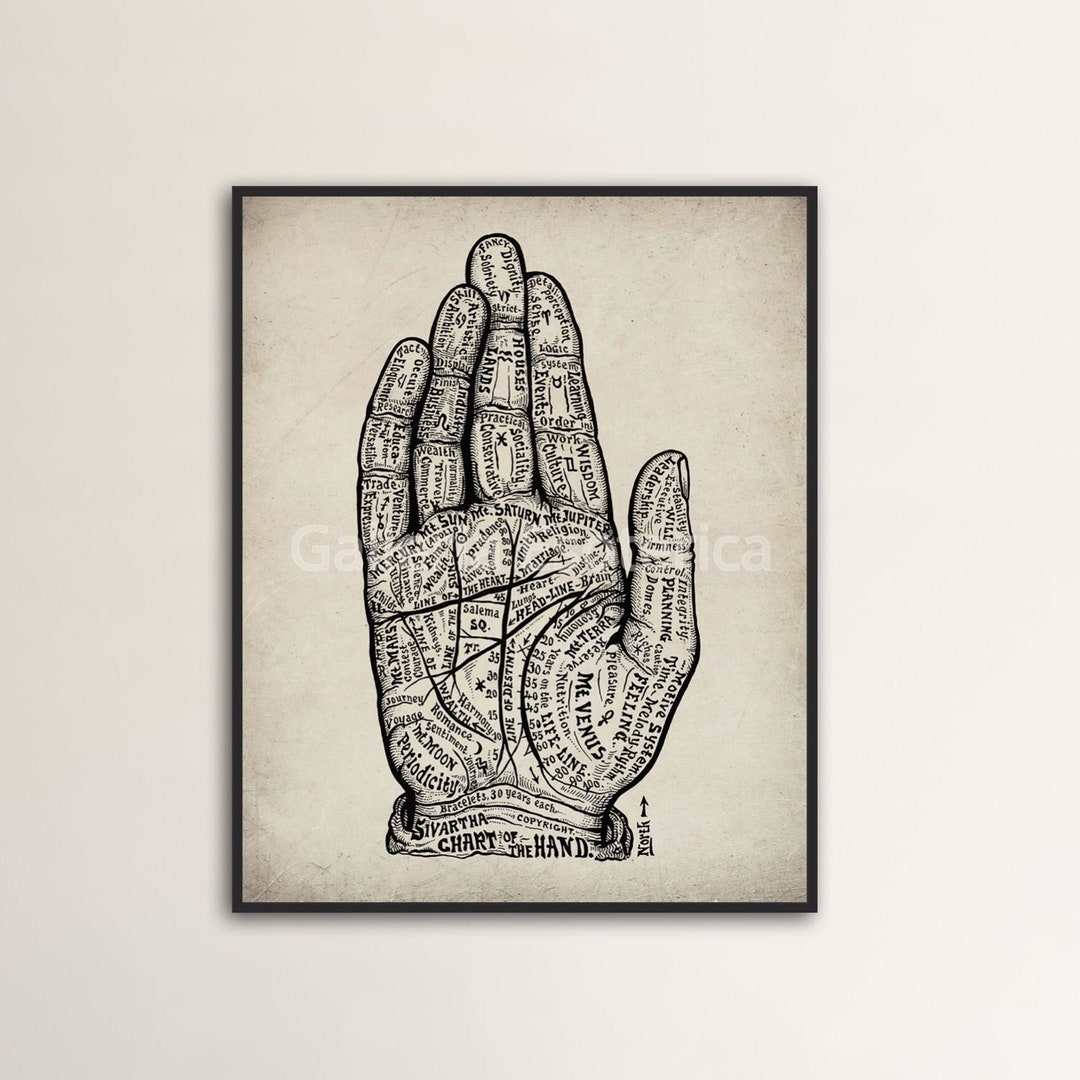Chart of the Hand Vintage Palmistry Print Retro Aged Palm - Etsy